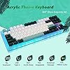 Womier K87 Custom Keyboard, 87 Keys TKL Gaming Keyboard, Hot Swappable ...