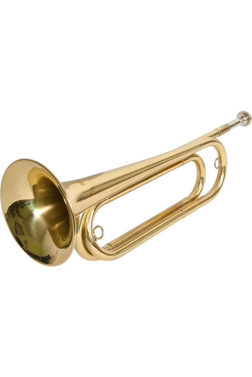 Brass Instruments Oman | Buy Online | Whizz Others