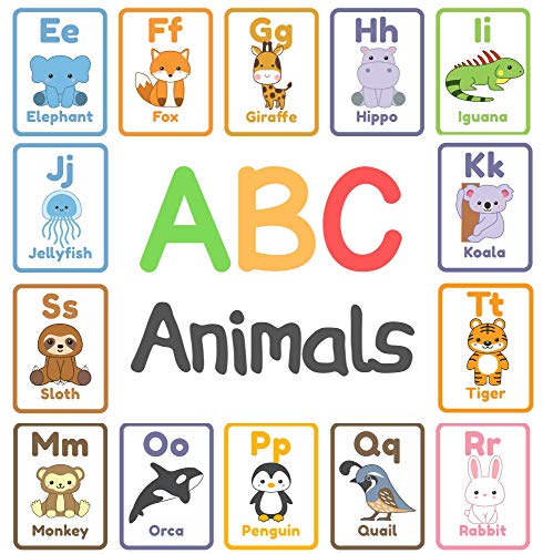 ABC Animals: Alphabet Book Flash Cards of Cute Animals, ABC for ...