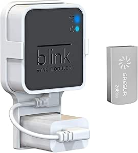 Amazon.com: 256GB Blink USB Flash Drive for Local Video Storage with ...