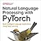 Natural Language Processing with PyTorch: Build Intelligent Language Applications Using Deep ...