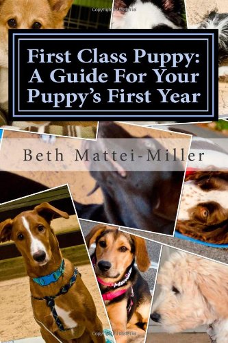 First Class Puppy: A Guide For Your Puppy's First Year: Mattei-Miller ...