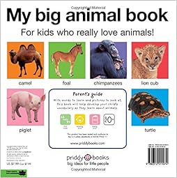 My Big Animal Book (My Big Board Books): Roger Priddy: 9780312511074 ...