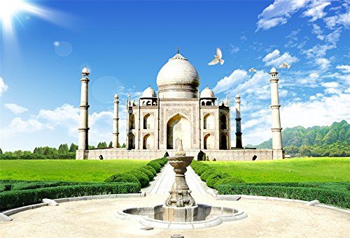 Buy OFILA Taj Mahal Backdrop 7x5ft Indian Building Bright Sunshine Blue ...