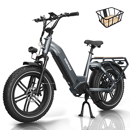 Himiway Big Dog Upgraded Electric Cargo Bike,750W E-Bike with 48V 20A ...