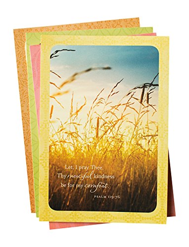 DaySpring - Sympathy - Serenity - 12 Boxed Cards (51726),Multi - DCBG