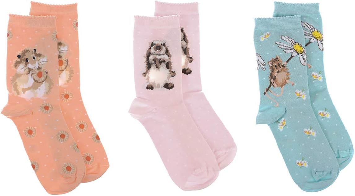 Wrendale Designs Small Animal Collection 3 Pairs of Socks: Amazon.co.uk ...