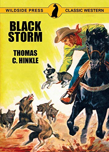 Black Storm: Hinkle, Thomas C.: 9781479430598: Amazon.com: Books