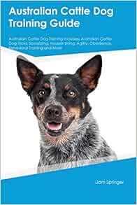 Australian Cattle Dog Training Guide Australian Cattle Dog Training ...