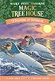 Amazon.com: Dolphins at Daybreak (Magic Tree House, No. 9 ...