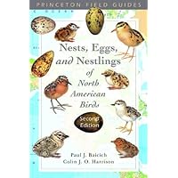 Nests, Eggs, and Nestlings of North American Birds: Second Edition ...