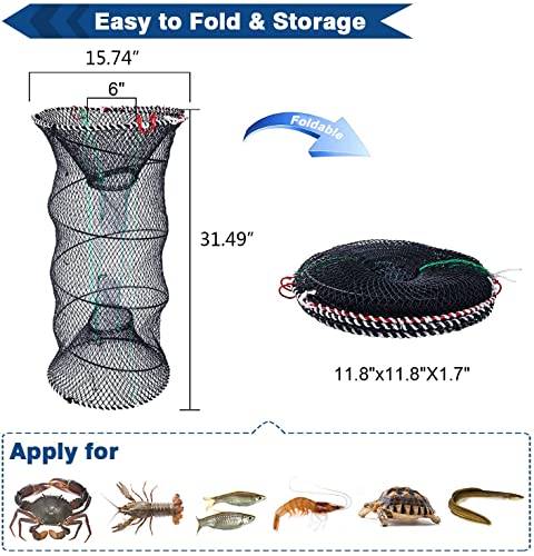 Anglerbasics Collapsible Folded Crab Trap, Portable Fishing Trap Net ...