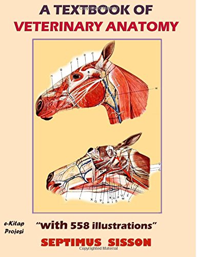 A TextBook of Veterinary Anatomy: [With 588 Illustrations]