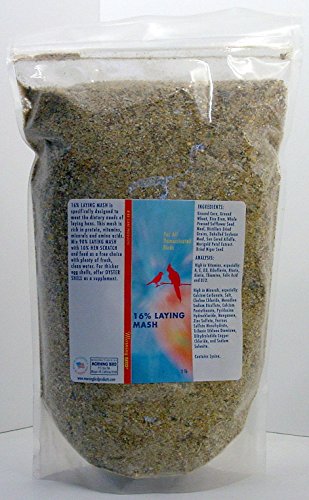 10 Different Types Of Chicken Feed (Ultimate Guide For Chicken Owners ...