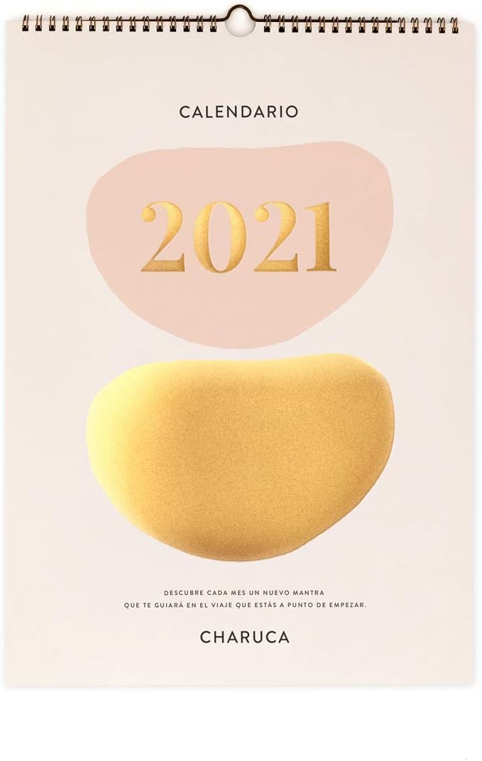 Charuca Calendar 2021 Wall – BigaMart