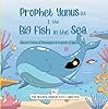 Prophet Yunus & the Big Fish in the Sea | Quranic Stories of Messengers ...