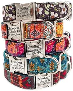 Amazon.com : Personalized Dog Collar, Classic Custom Engraved Collar ...