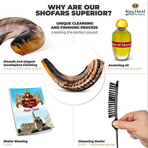 Shofar Horn Instrument - RAM Shofar Angels Musical Instrument - Horn ...