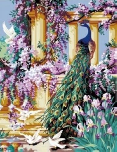 Peacock Paint By Number Kits • Paint By Number For Adults