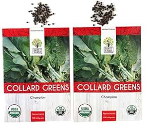 Amazon.com : Organic Collard Greens (Champion) Seeds - 2 Seed Packets ...