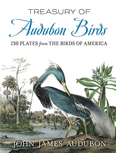 Treasury of Audubon Birds: 130 Plates from The Birds of America ...