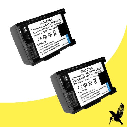 Amazon.com: Two Halcyon 1500 mAH Lithium Ion Replacement Battery for ...