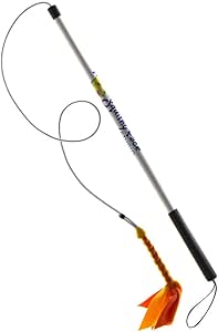 Pet Supplies : Squishy Face Studio Flirt Pole V2 with Orange/Yellow ...