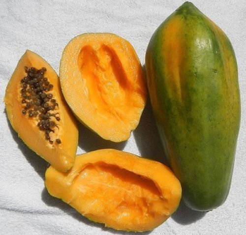 Amazon.com : red Lady Papaya (carica papaymu gua Dwarf Pawpaw Tropical ...