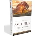 The Amplified Study Bible, Hardcover: Zondervan: 9780310440307: Amazon ...