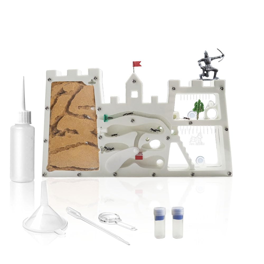 Mua Sand Ant Farm, Ant Habitat for Live Ants, Ant Farm Nest Kit ...
