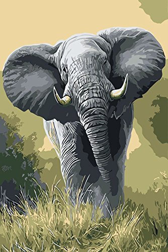 Elephant Paint By Number Kits • Paint By Number For Adults