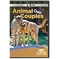 Amazon.com: Nature: Animal Odd Couples : .: Movies & TV