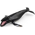 Amazon.com: Humpback Whale Action Figure,Humpback Whale Figure Toy ...