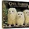 Owl Babies: Amazon.co.uk: Martin Waddell, Patrick Benson: Books