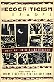 Amazon.com: The Future of Environmental Criticism: Environmental Crisis ...