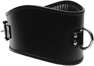 Amazon.com: Strict Leather Padded Leather Locking Posture Collar ...