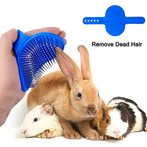 Where To Buy Rabbit Grooming Supplies at Amanda Okane blog