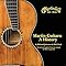 Martin Guitars: A History: Johnston, Richard, Boak, Dick, Longworth ...