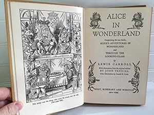 Alice in Wonderland: Comprising the two... book