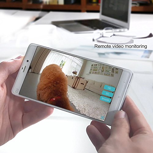 WOpet SmartFeeder,WOpet Review - CAMERA SECURITY REVIEWS