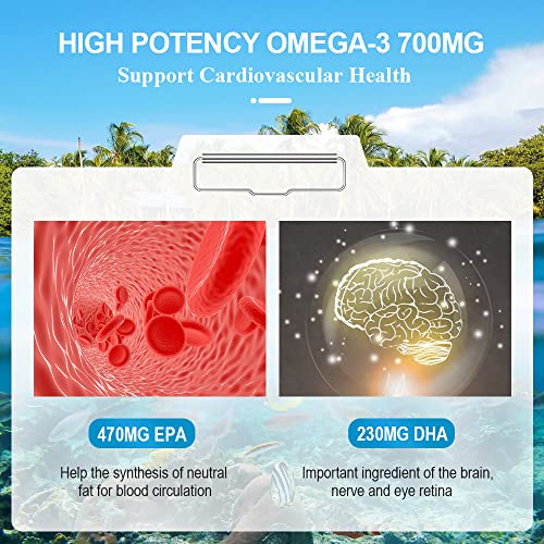 Dr.Brian Omega 3 Fish Oil Supplements, High Absorption rTG Omega 3 Wild Fish Oil 1200mg with Epa ...