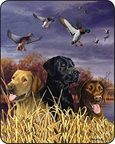 Animal Throws - Kritters in the Mailbox Animal Items