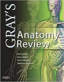 Gray's Anatomy Review: 9780808924036: Medicine & Health Science Books ...