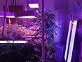 Amazon.com : MARS HYDRO 600W LED Grow Light Full Spectrum Hydroponic ...