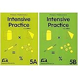 Primary Math Intensive Practice 4A and 4B: Singapore Math Inc: Books