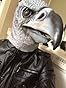 Amazon.com: Realistic Vulture Mask: Full Face Rubber Latex Costume Mask ...