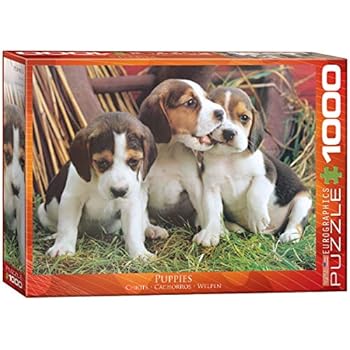 Amazon.com: Beagles 1000 Piece Panorama Jigsaw Puzzle: Toys & Games