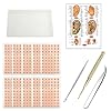 Ear Seeds Acupuncture Kit 600 PcsEar Press Seeds with Acupuncture ...