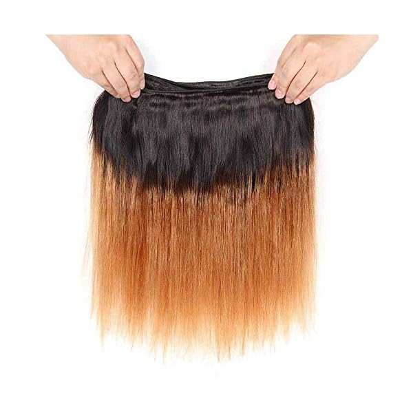 Seelaak 3 Bundles Ombre Brown Bundle t30 Straight Hair Bundle Brazilian ...