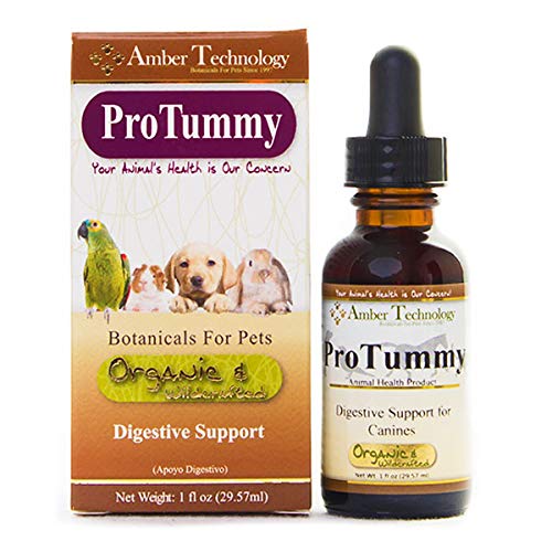 ProTummy 1oz. (Formerly Tummy Trouble 1oz.) For Vomiting, Diarrhea and ...